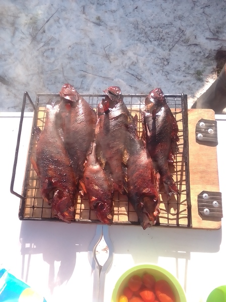 А вы любите лес?, seyl — Advego.com